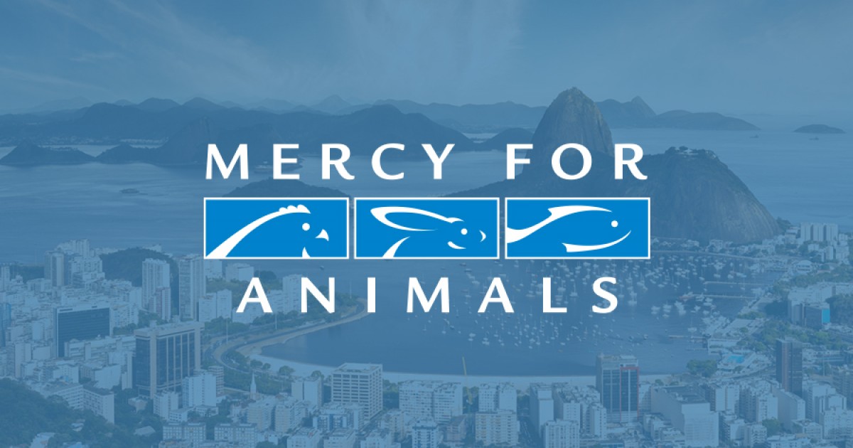 Mercy For Animals aterriza no Brasil - Mercy For Animals