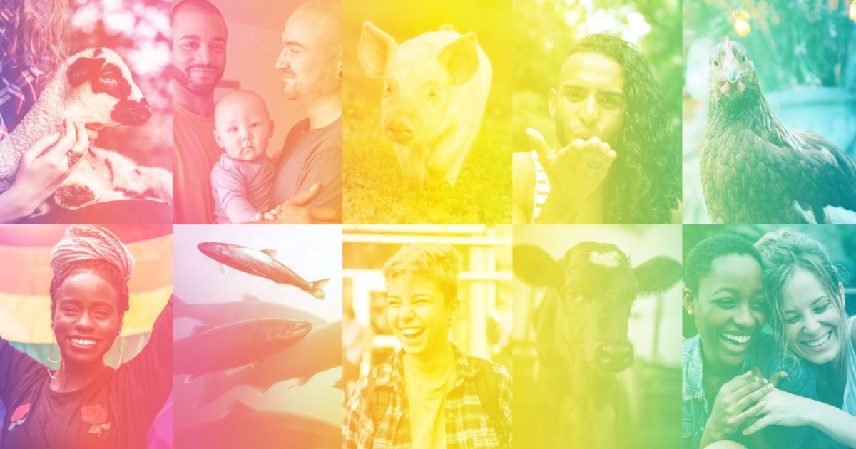 Pride - Mercy For Animals