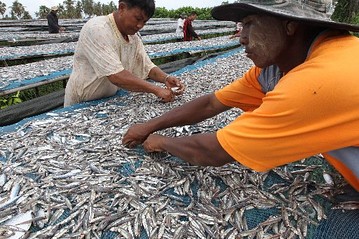 Thai Fishing Industry's Dirty Secret: Human Slavery - Mercy For Animals