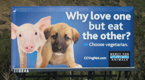 MFA's Pro-Vegetarian Billboards Rise in Denver - Mercy For Animals