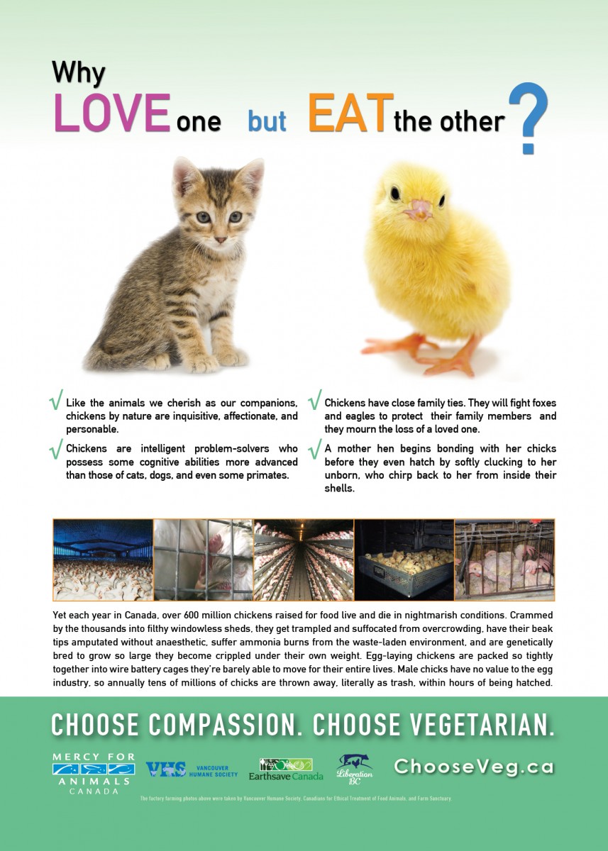 National Ad Campaign a First for Canada - Mercy For Animals