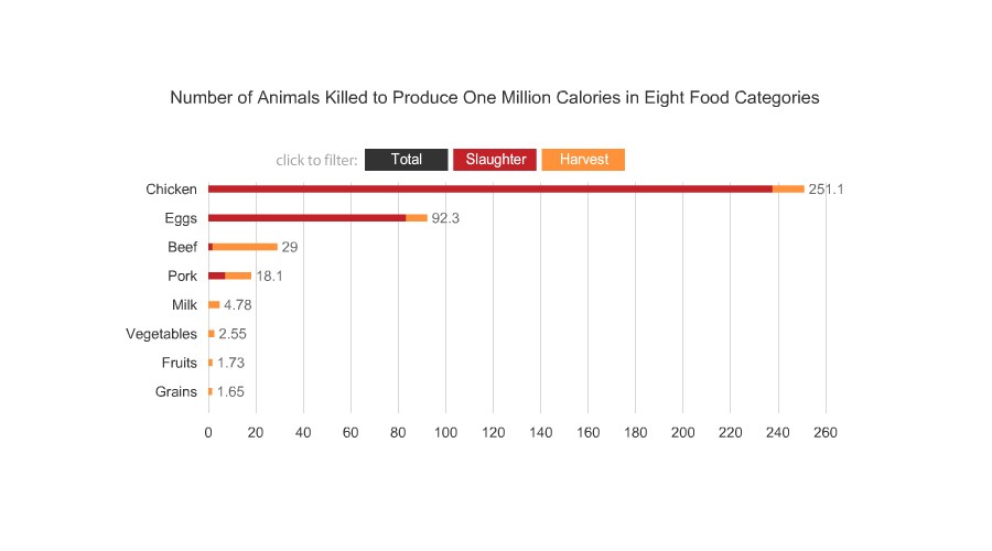 Calculating the Power of Our Food Choices - Mercy For Animals