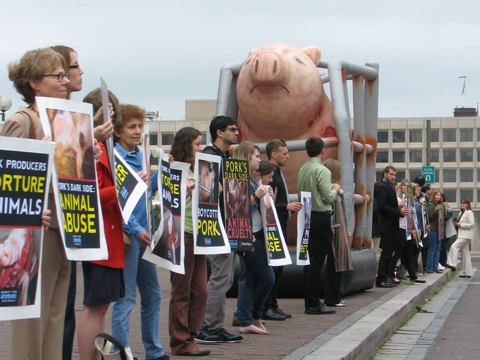 10-Foot-Tall, Caged, Bloody Pig Joins MFA Protesters in Confronting ...